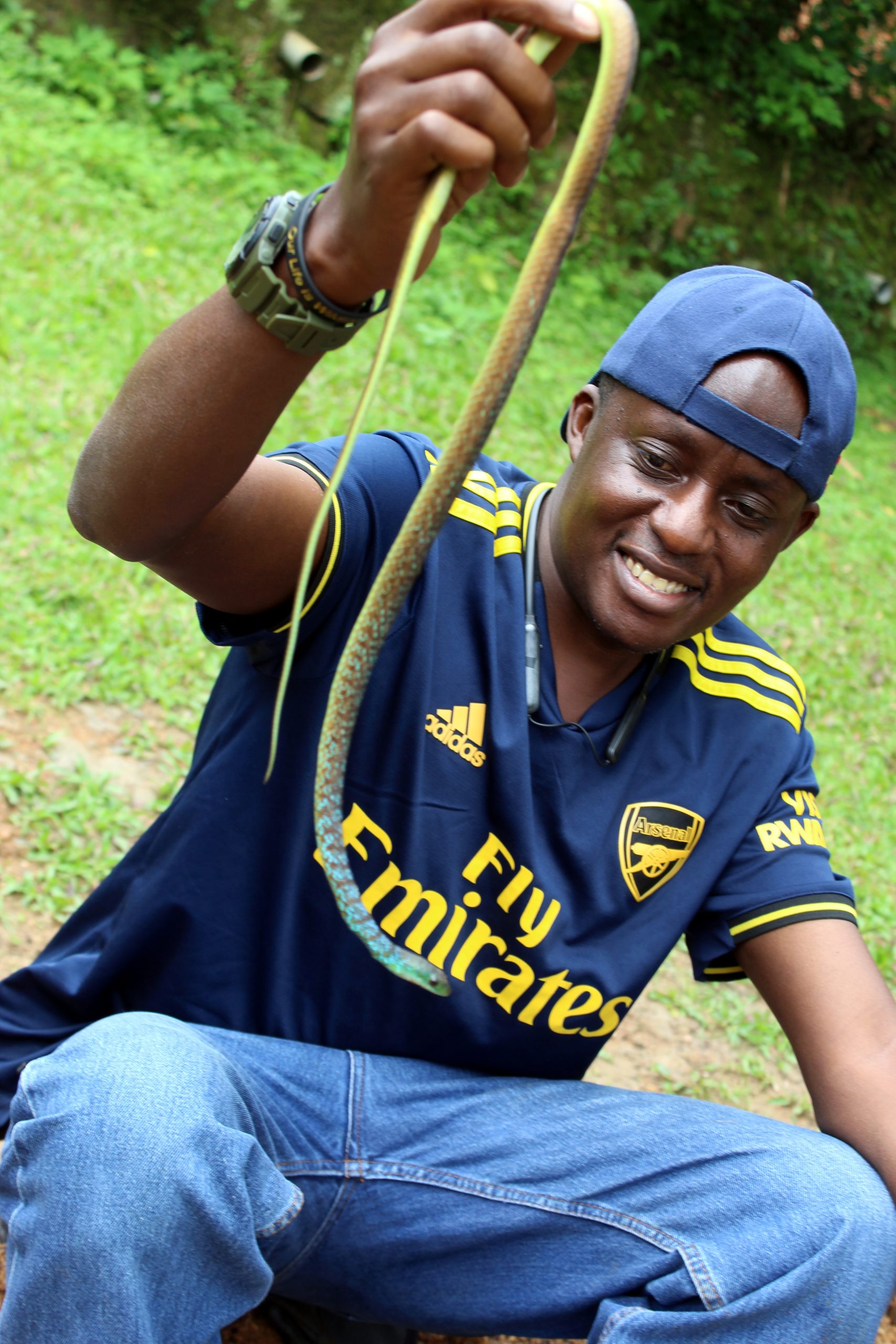 Gallery Snakes Uganda